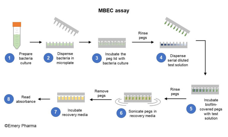 Biofilm Eradication Testing - Emery Pharma