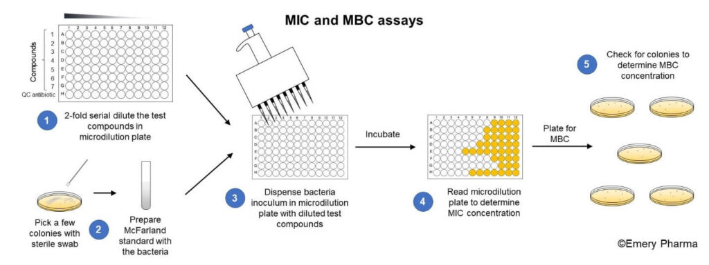 Minimum Inhibitory Concentration (MIC) - Emery Pharma Minimum Inhibitory Concentration (MIC) - Emery Pharma