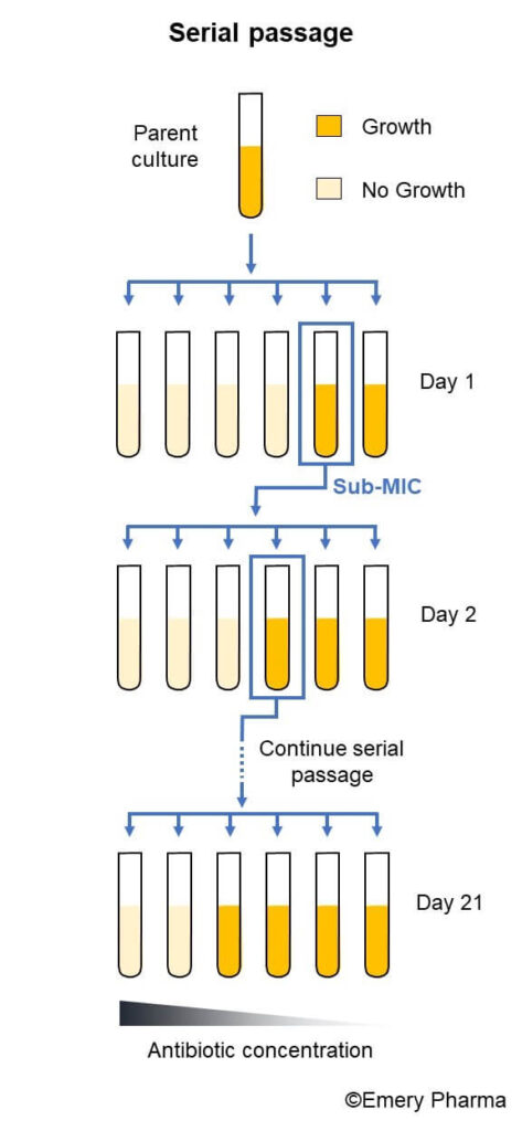 Antibiotic Resistance Testing - Emery Pharma