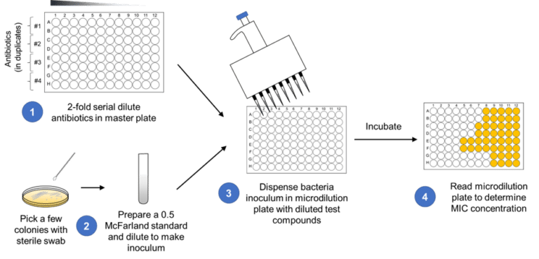 Microbial Warriors: A New Hope in the Fight Against Cancer - Emery Pharma