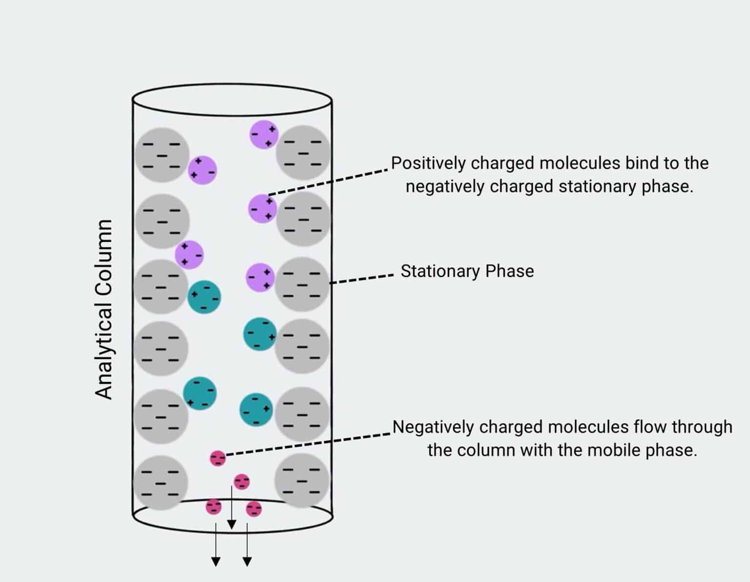 Native Mass Spectrometry (Native-MS) for Aggregate and Charge Variant ...